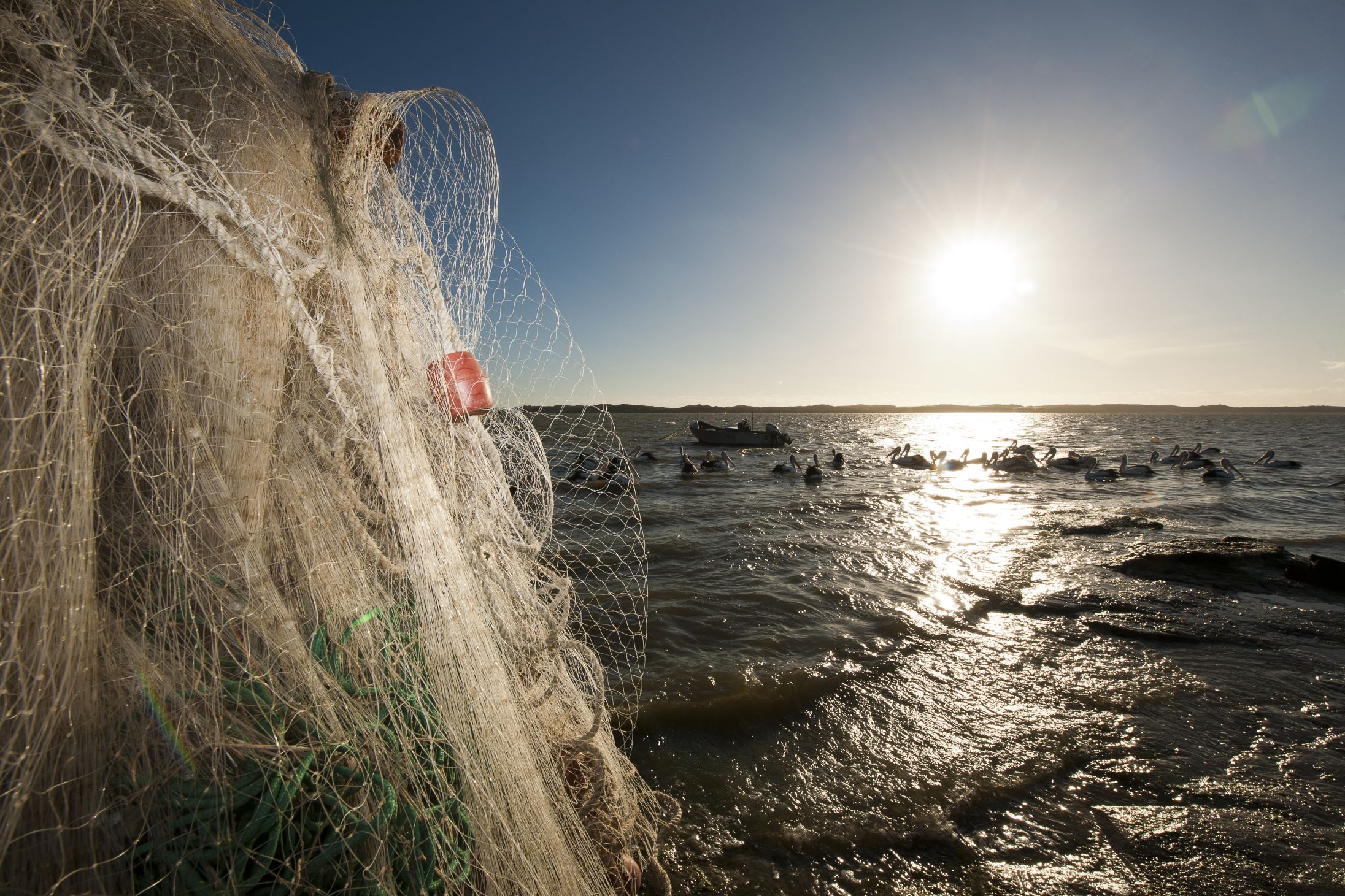 Hands across the seas