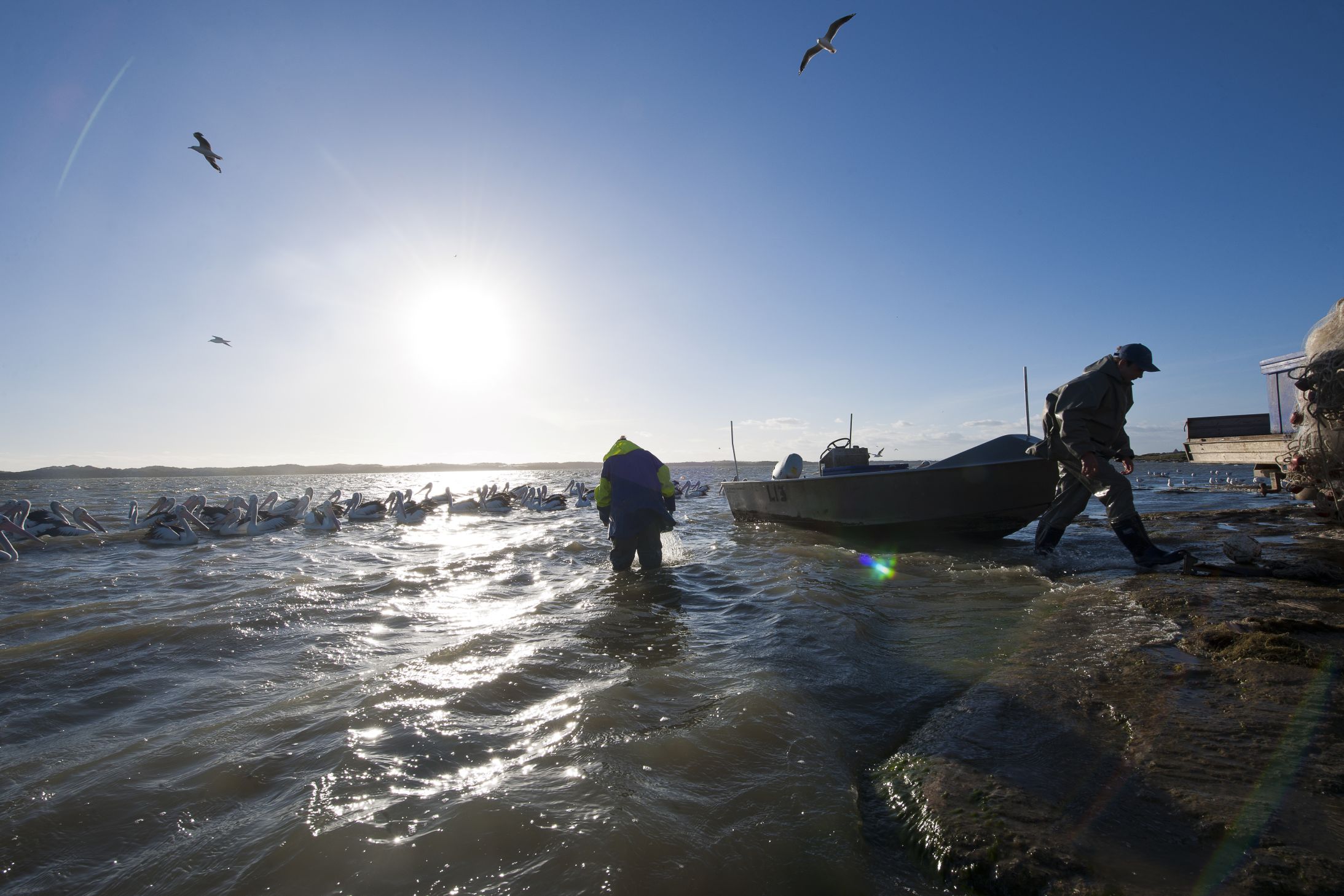 Hands across the seas